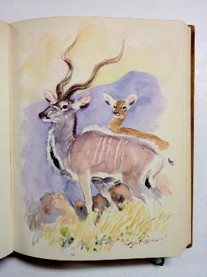 Édouard Foà La chasse aux grands fauves illustrations Roger Reboussin ...